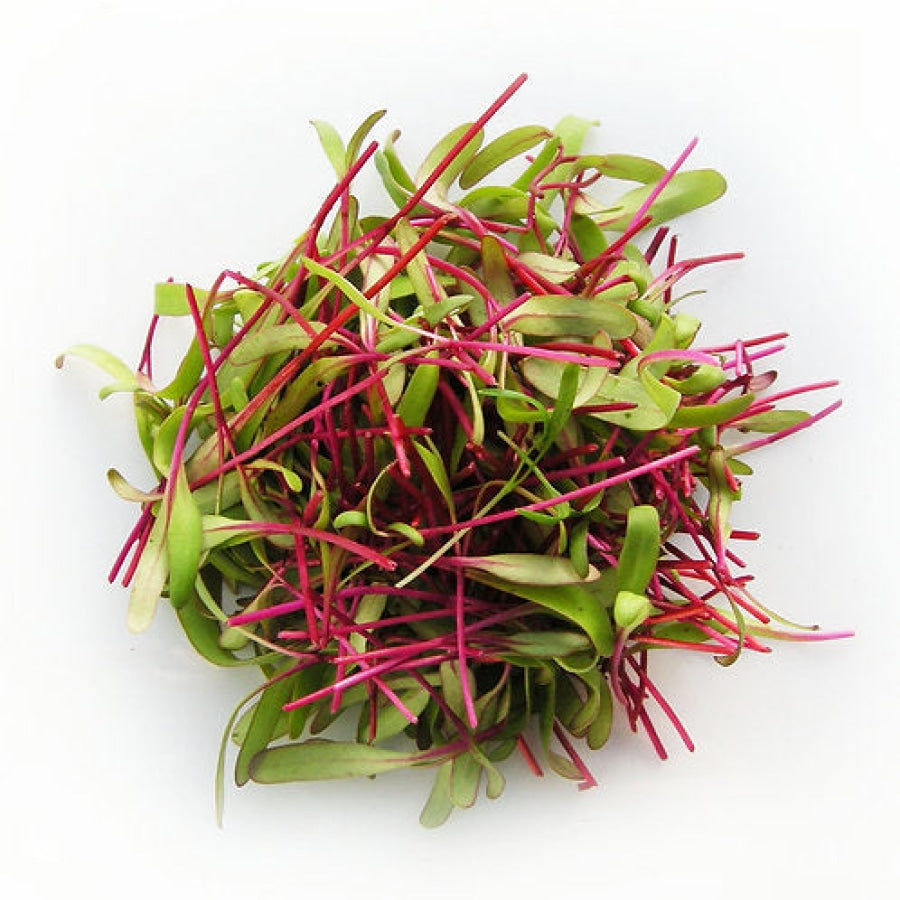 Beetroot Microgreens - Fresh Aisle - Fresh Aisle