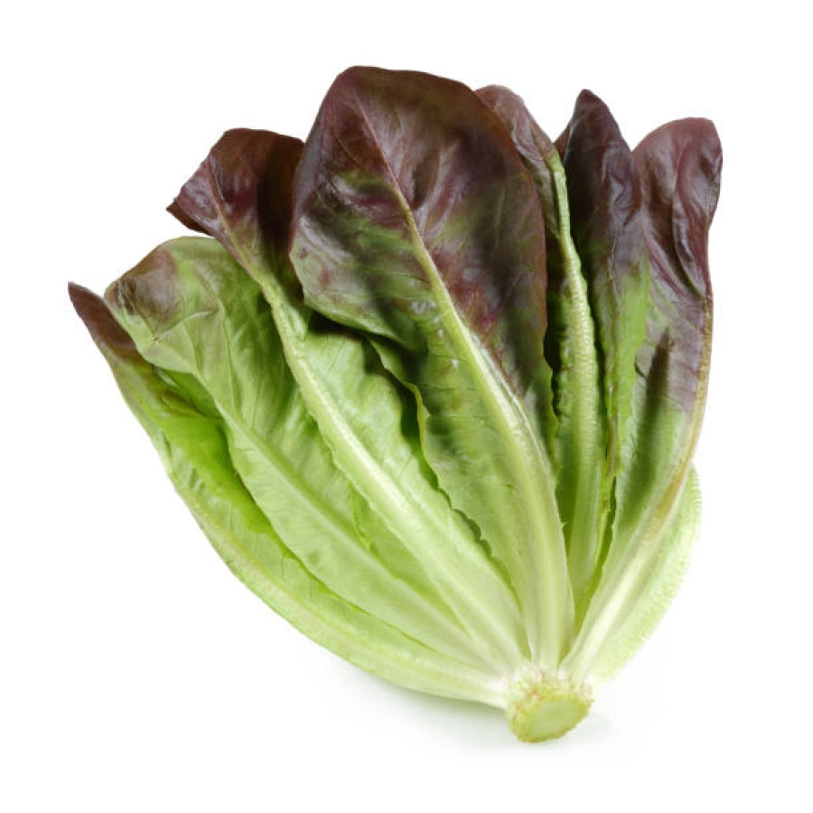 Lettuce Romaine Red - Fresh - Fresh Aisle – Fresh Aisle